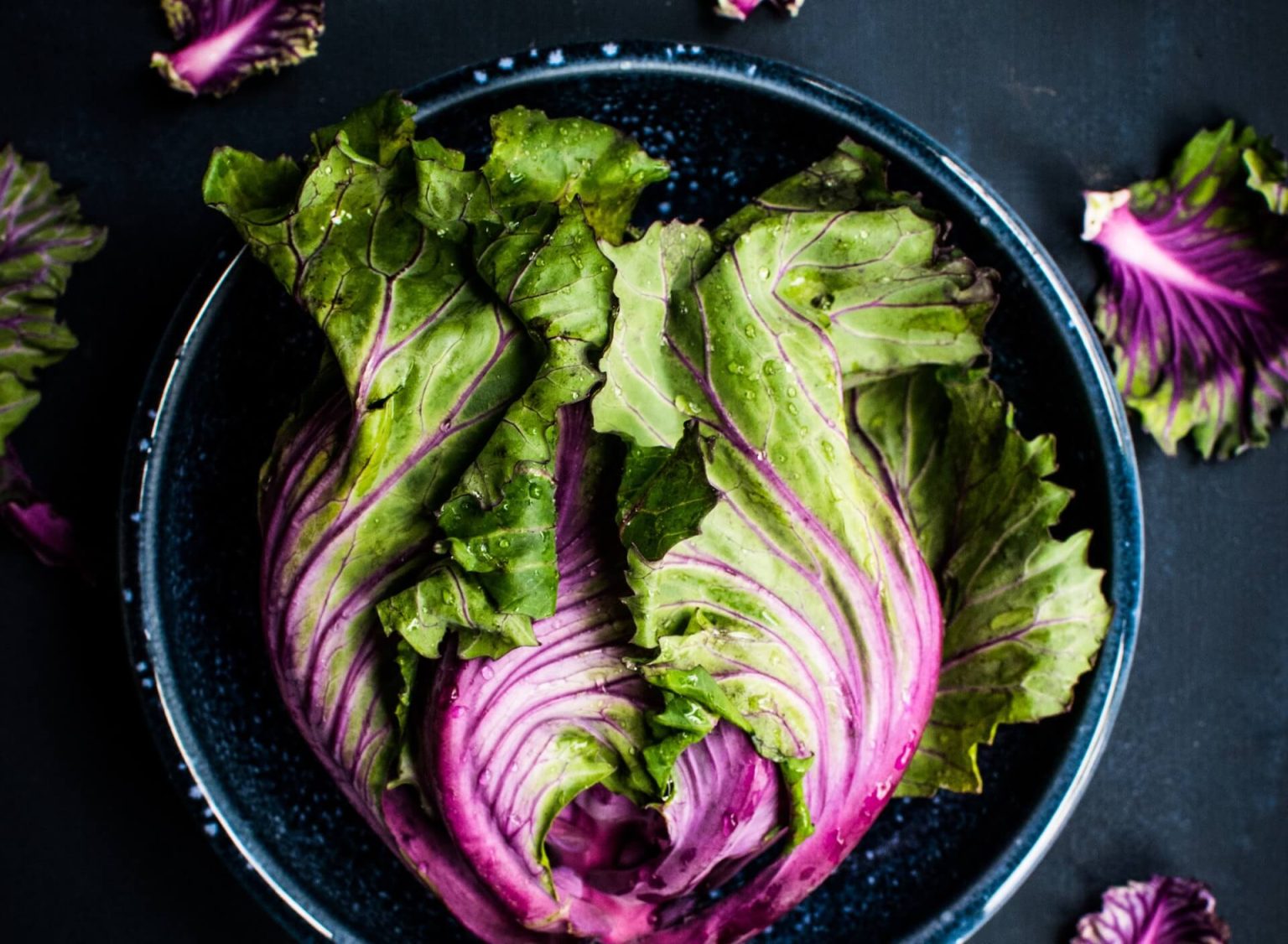 Vegetarisch of veganistisch: wat is het verschil? - Green Dish